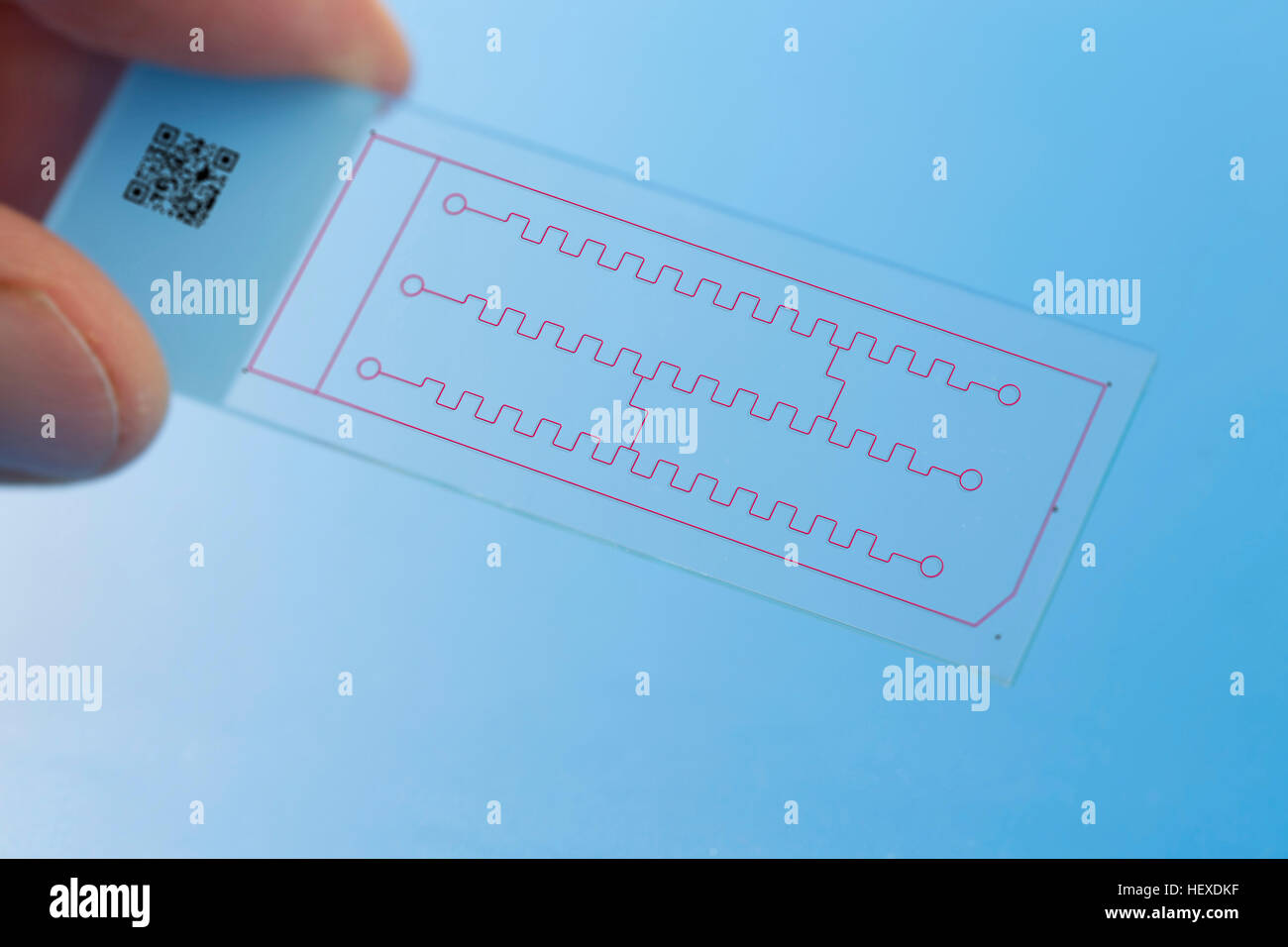 Lab on chip (LOC), close up Stock Photo - Alamy