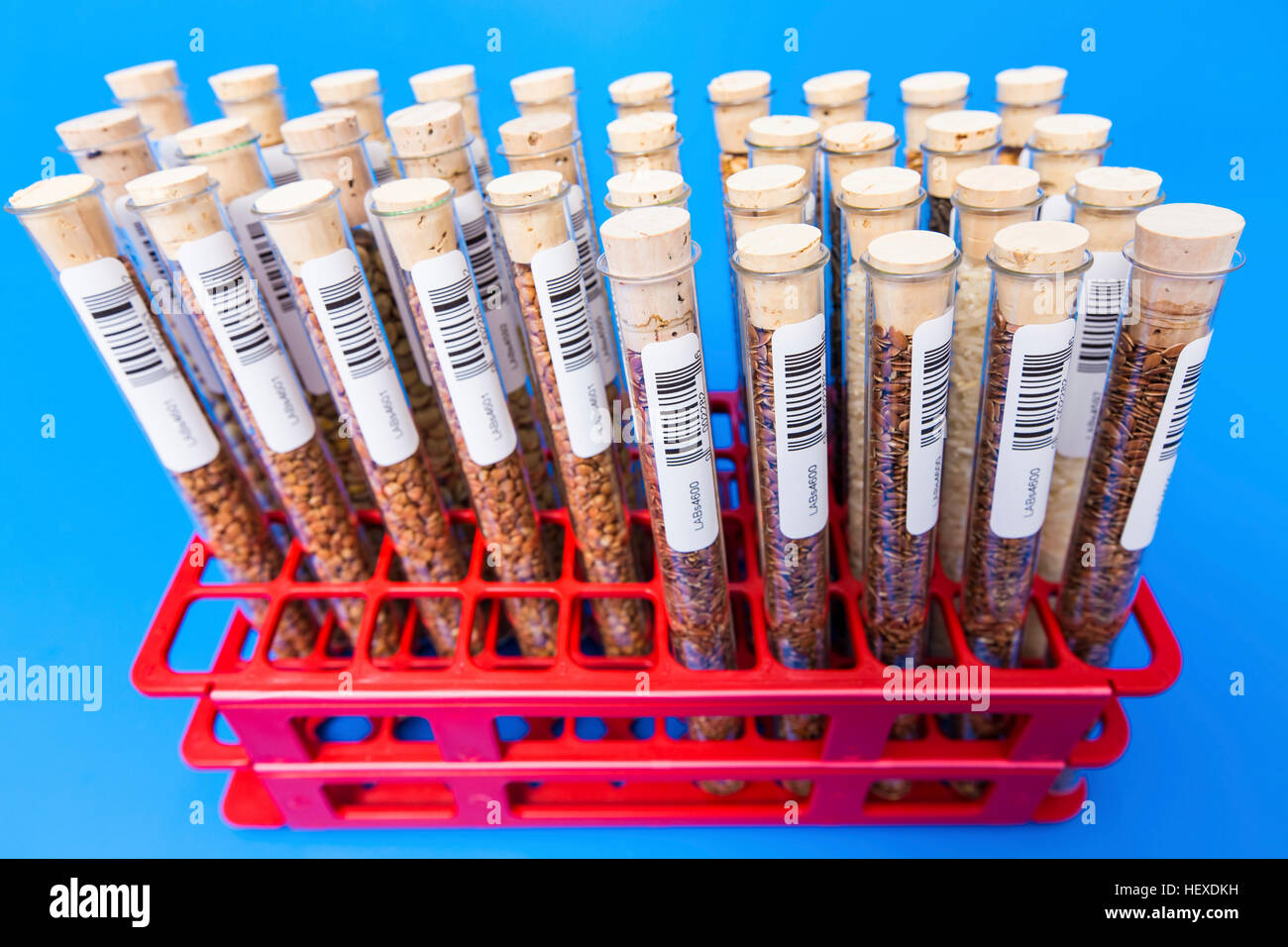 Food samples in test tubes in a test tube rack Stock Photo - Alamy