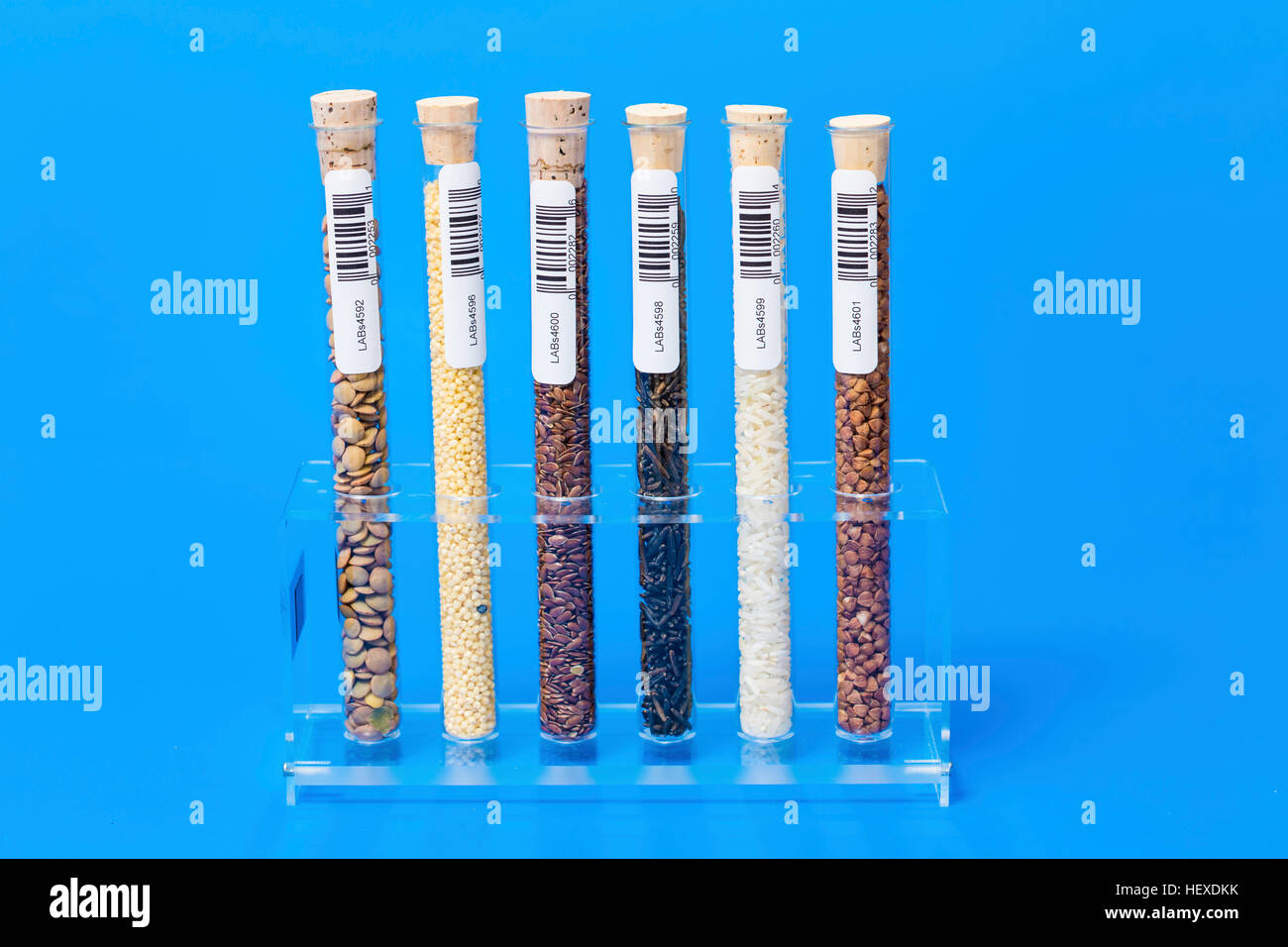 Food samples in test tubes in a test tube rack Stock Photo - Alamy