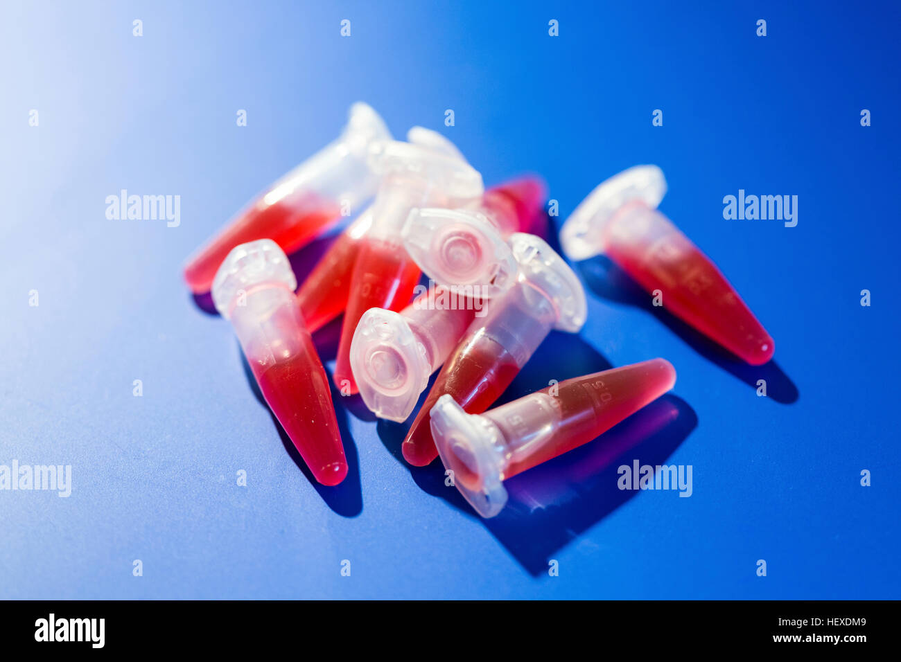 Eppendorf tube blood sample hi-res stock photography and images - Alamy