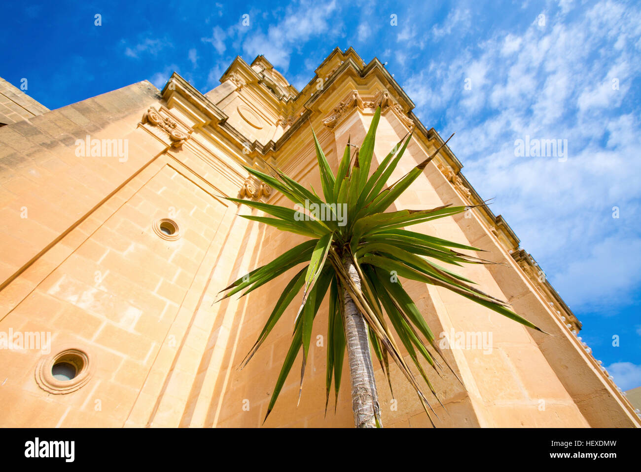 Palm tree outside building, Palmyra, Syria Stock Photo - Alamy