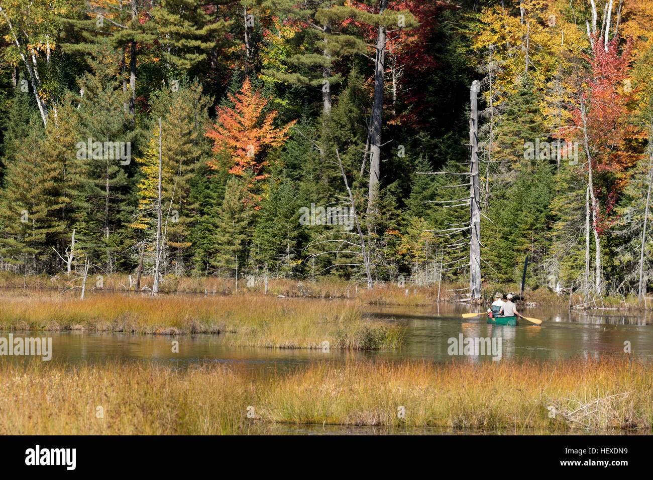 Canoeing in the St. Regis Canoe Area of Adirondack State Park, New York ...