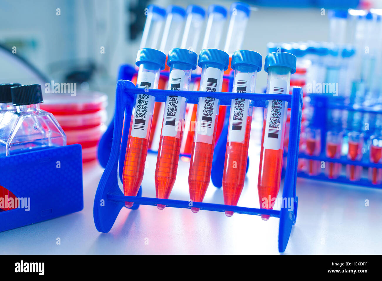 Biological samples hi-res stock photography and images - Alamy