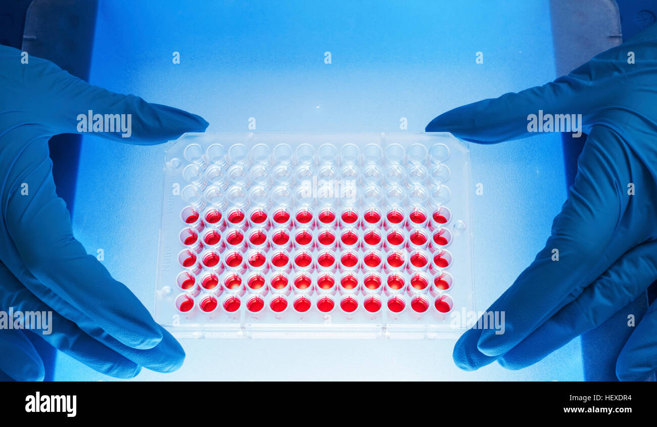 Microbiologist holding multiwell tray Stock Photo - Alamy