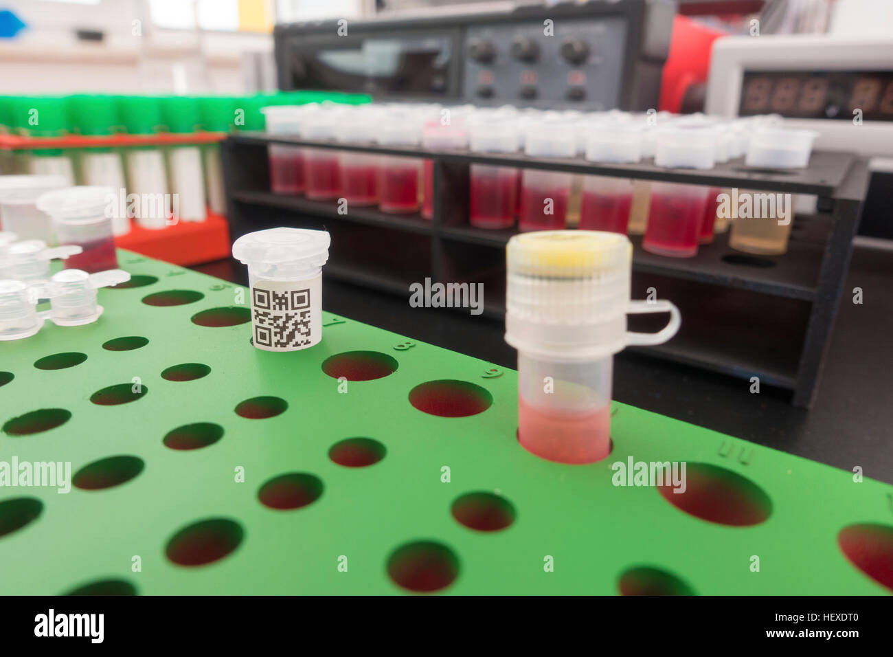 Test tubes in a rack Stock Photo - Alamy
