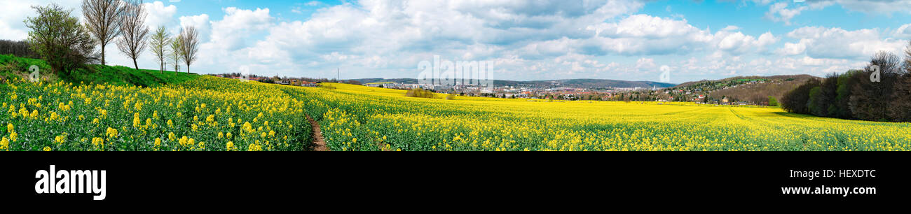 Meadow scene, panoramic Stock Photo - Alamy