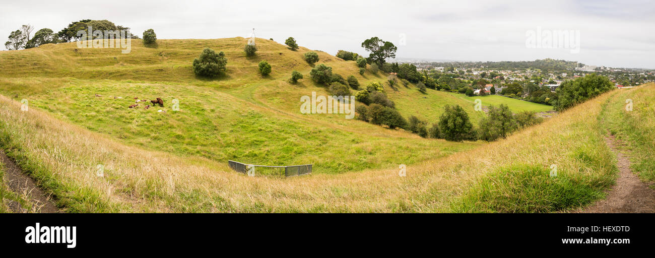 Grassy hills, Auckland, New Zealand Stock Photo - Alamy
