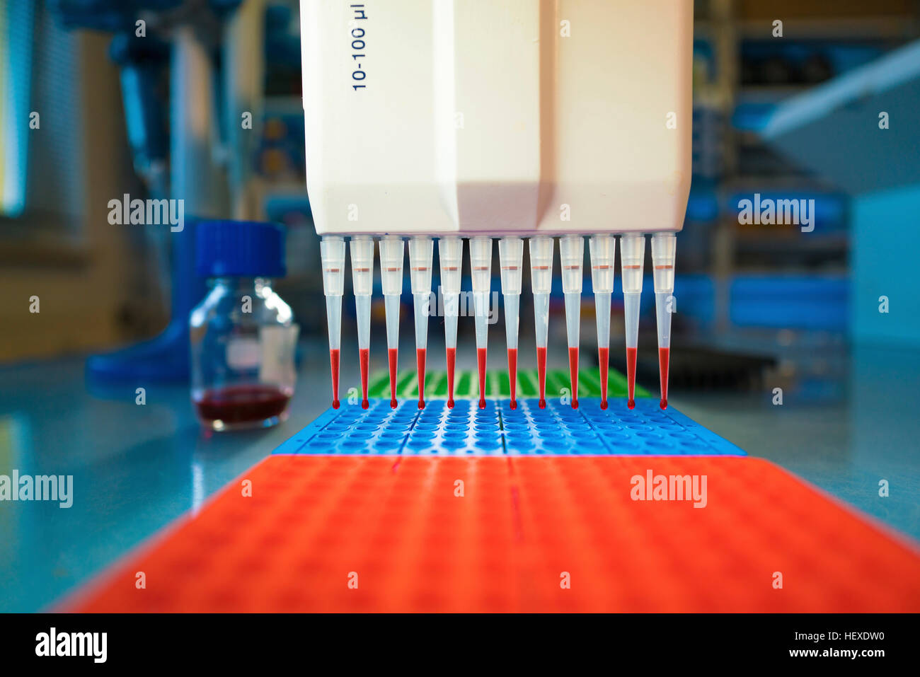 Multipipette in the laboratory Stock Photo - Alamy