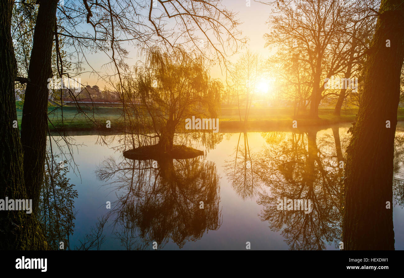 Trees lake sunrise in hi-res stock photography and images - Alamy