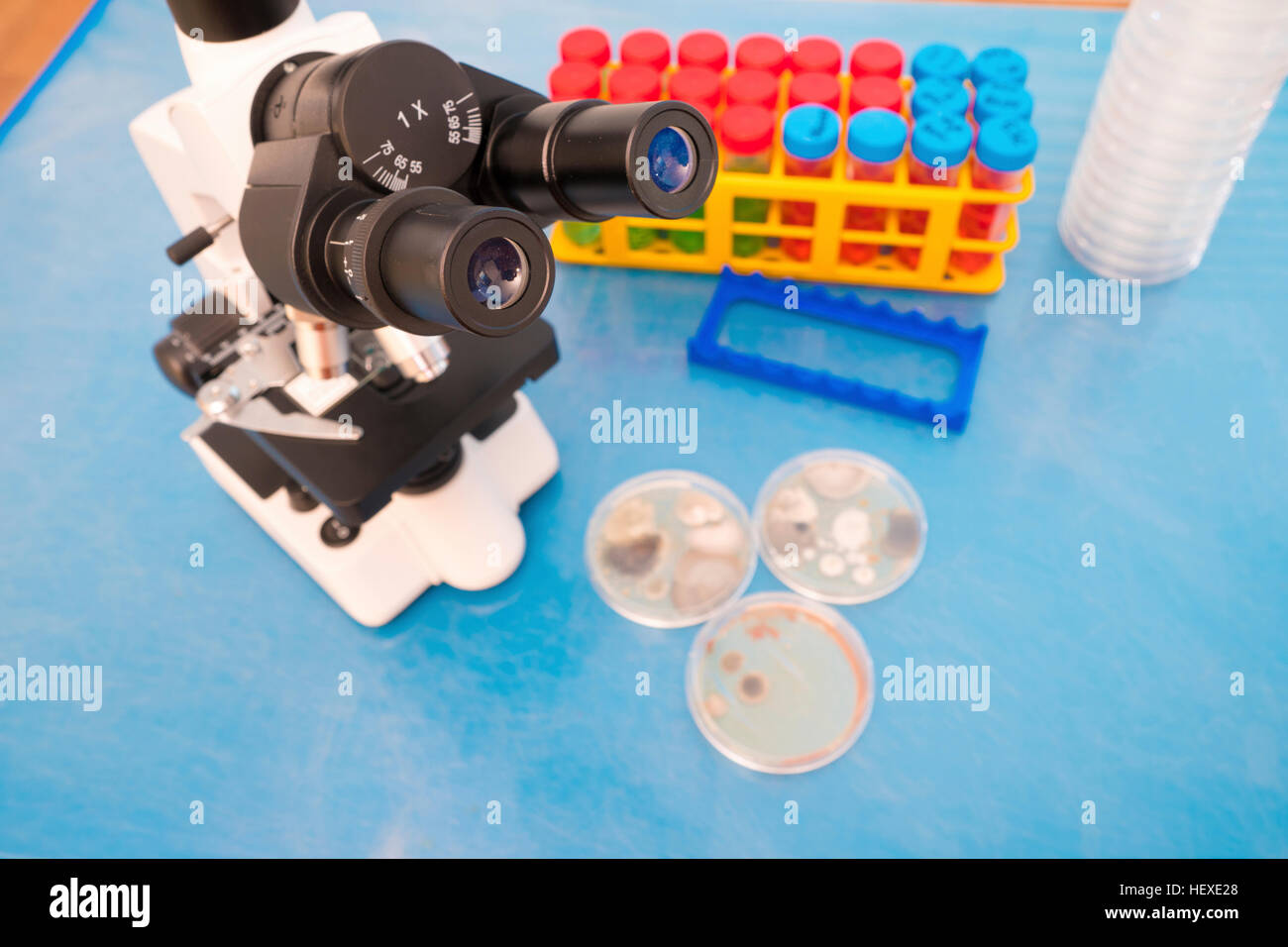 Laboratory microscope and petri dishes Stock Photo - Alamy