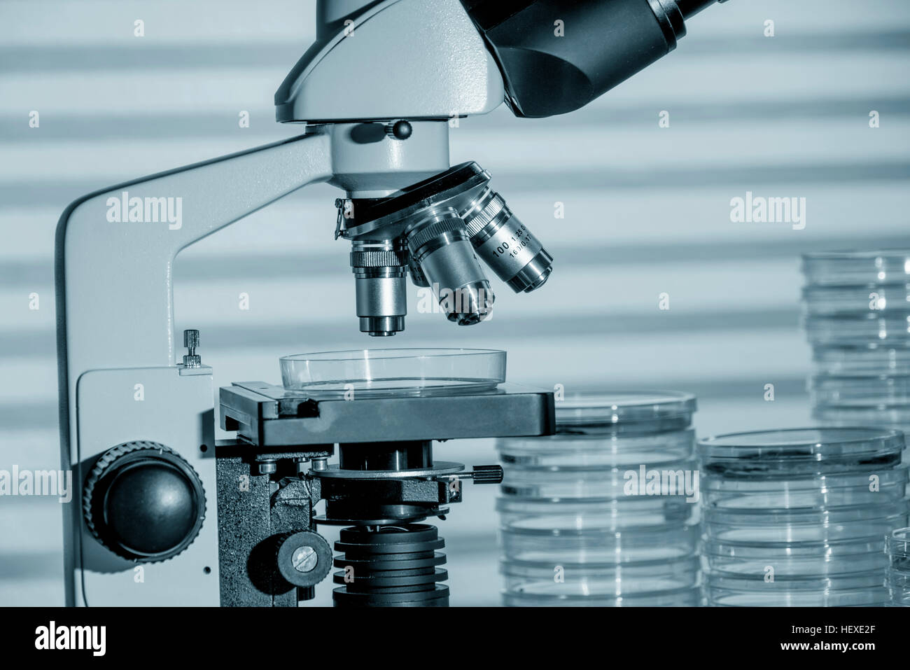 Laboratory microscope and petri dishes Stock Photo - Alamy