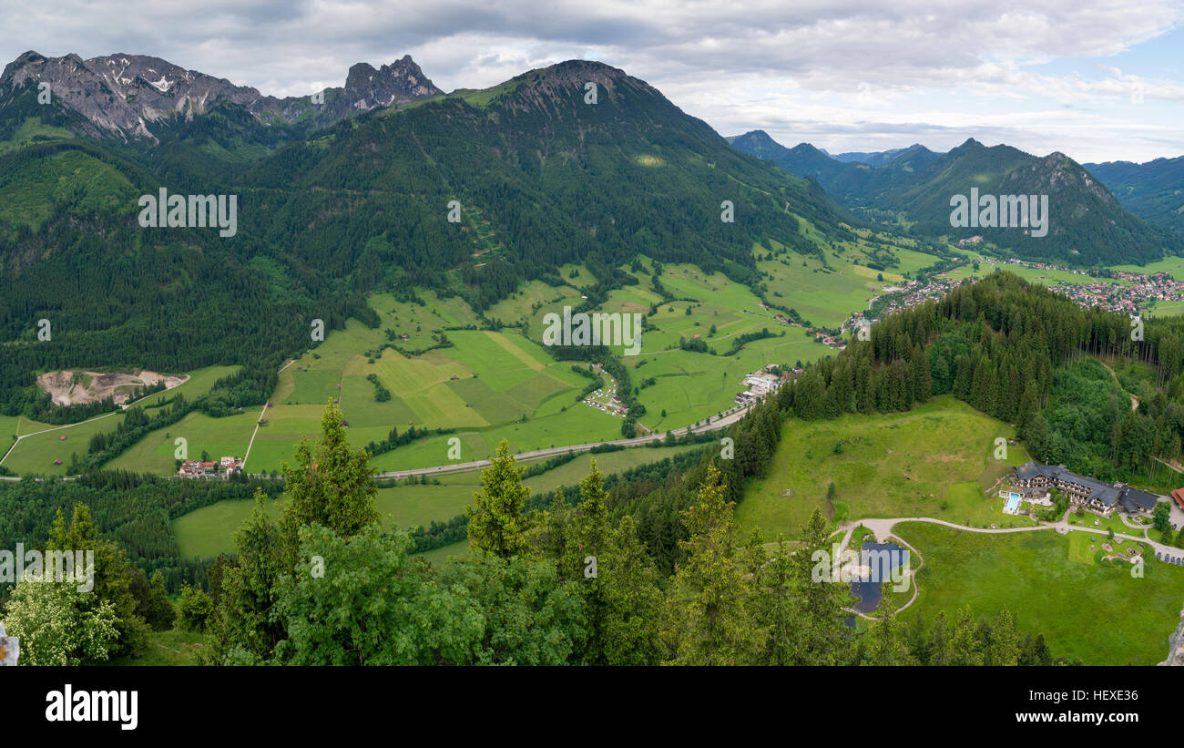 Green fields and trees in the Swiss Alps Stock Photo - Alamy