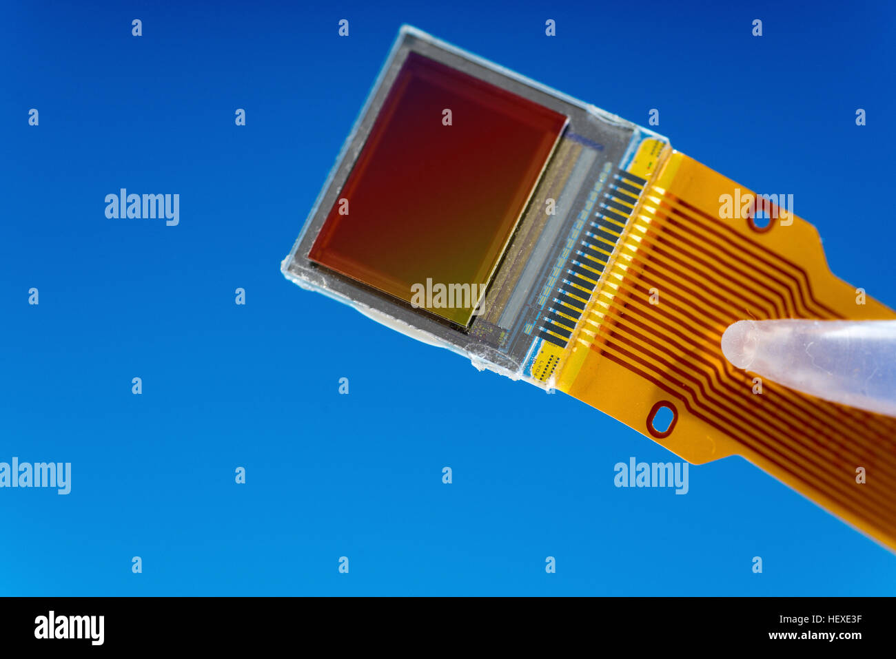 Image sensor against a blue background Stock Photo - Alamy
