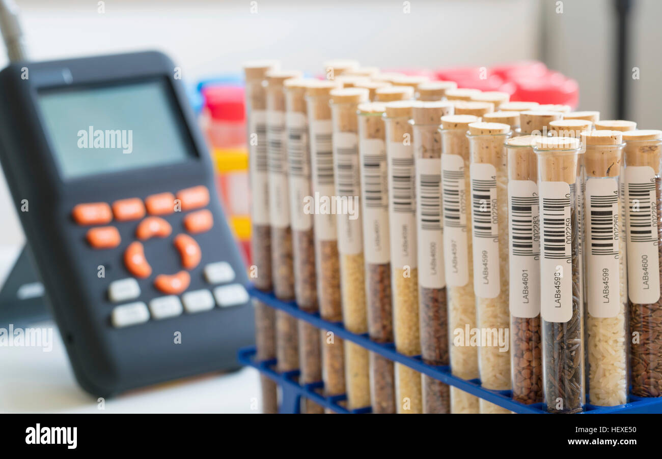 Food samples in test tubes in the laboratory Stock Photo - Alamy