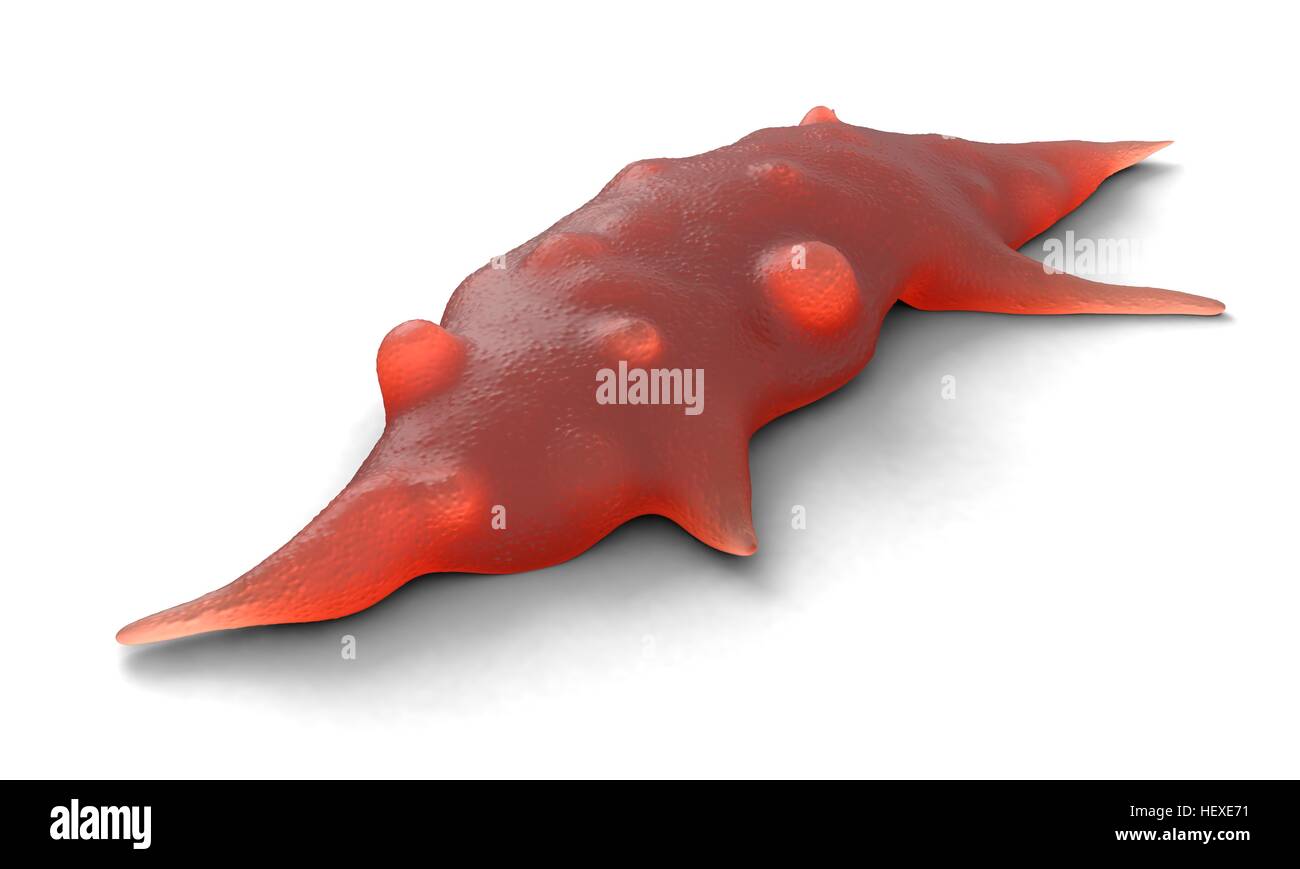 Bone cancer cell, illustration Stock Photo - Alamy