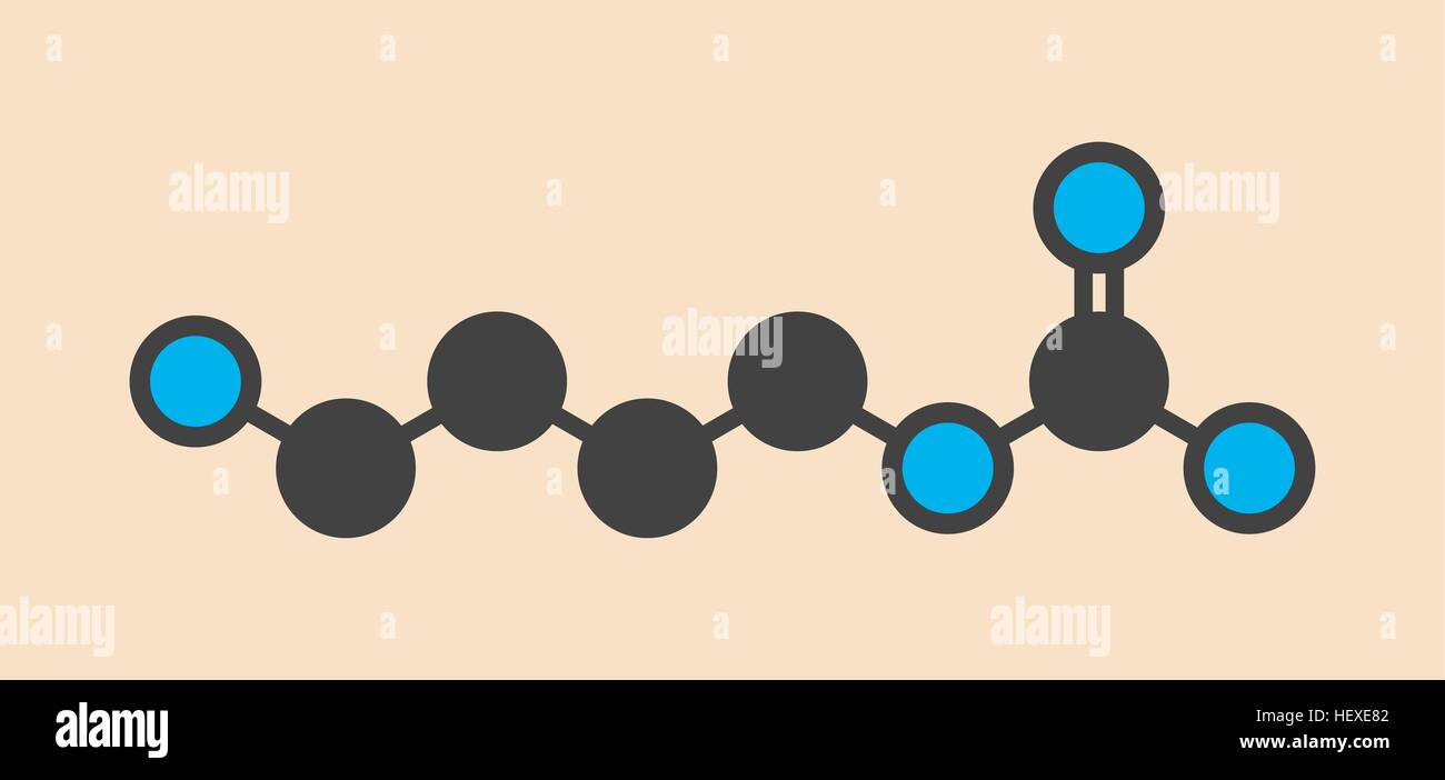 Agmatine molecule, computer illustration. Atoms are shown as color ...