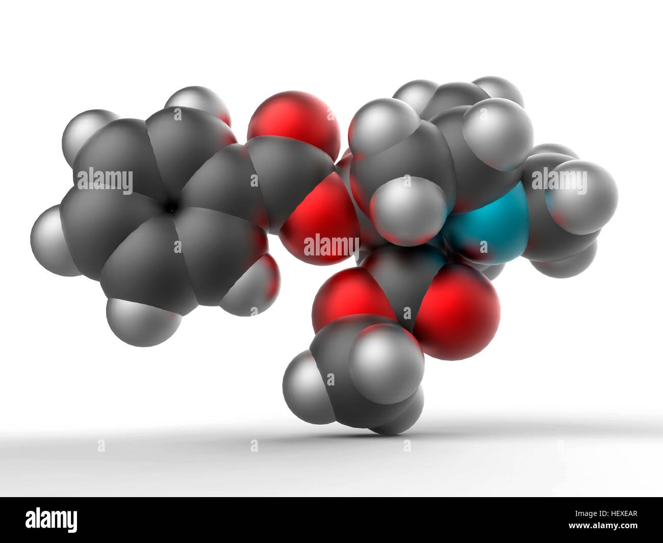 Cocaine. Molecular model of the alkaloid drug cocaine (C17.H21.N.O4 ...