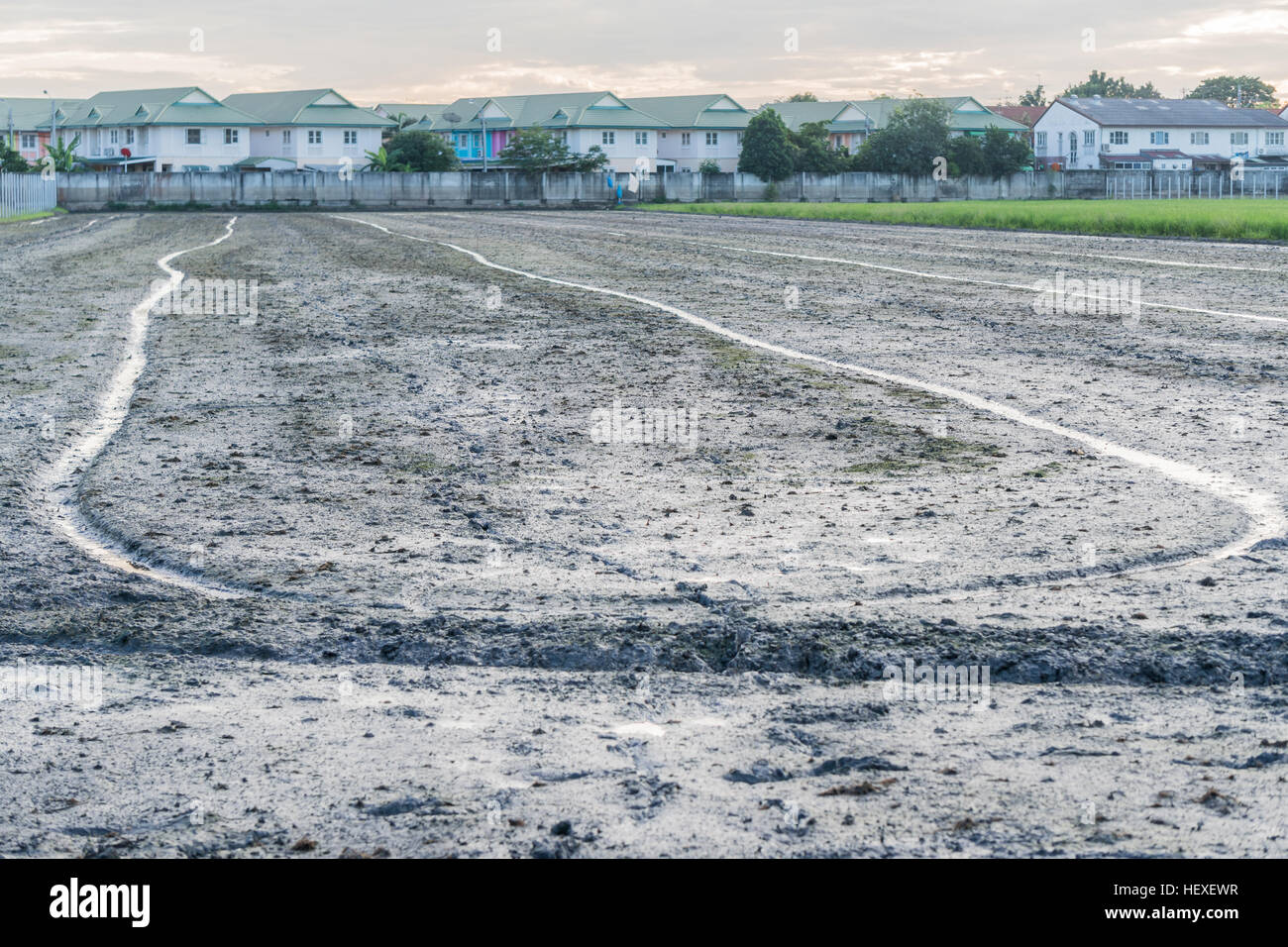 restful view of paddy field Stock Photo - Alamy