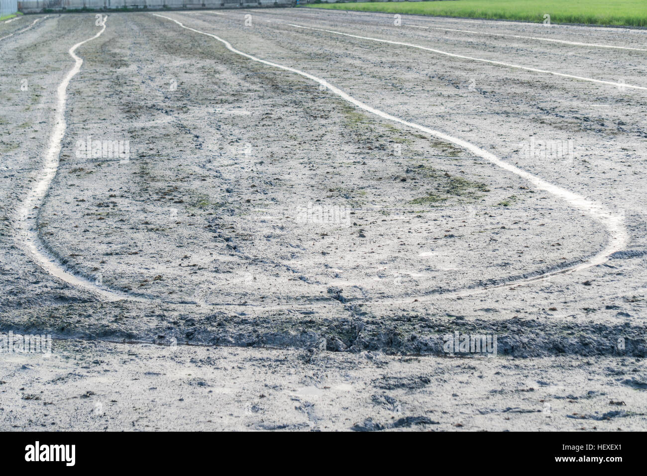 restful view of paddy field Stock Photo - Alamy