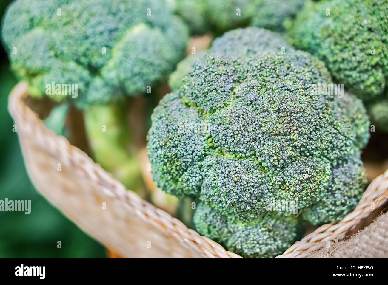 Group of fresh broccoli close up Stock Photo - Alamy