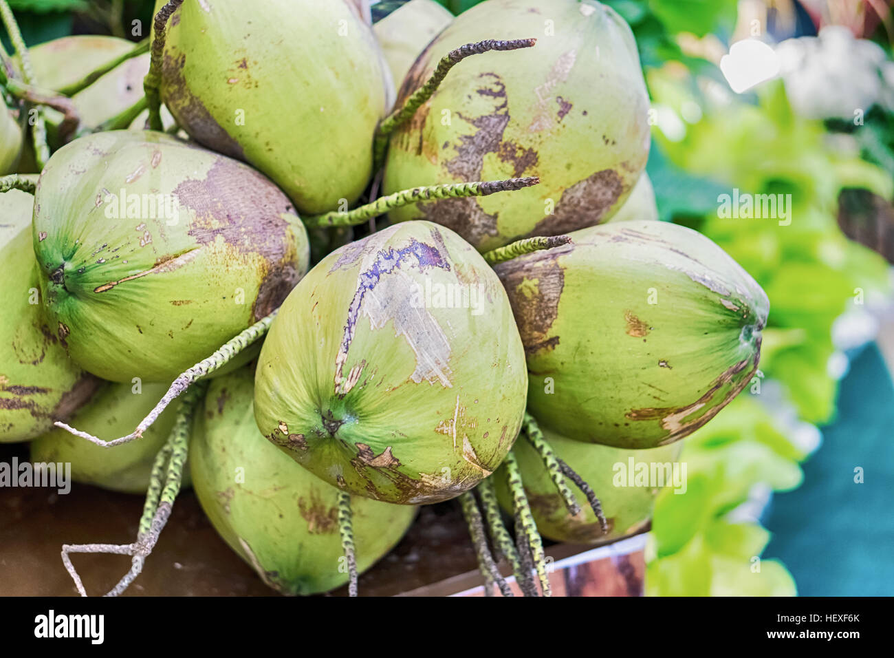 Coconut cluster on coconut tree Stock Photo - Alamy
