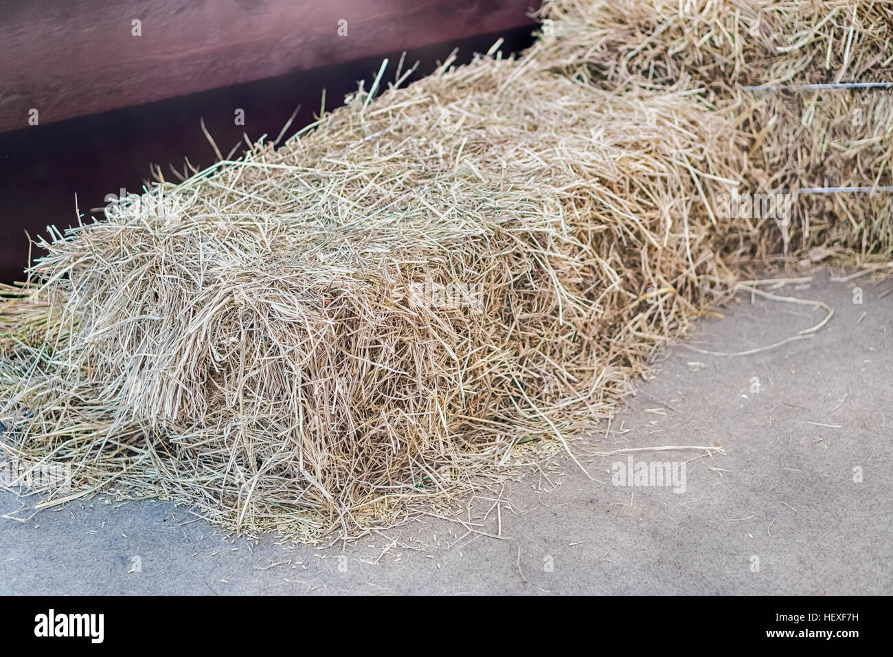 a pile of straw on field, straw bales after harvest Stock Photo - Alamy