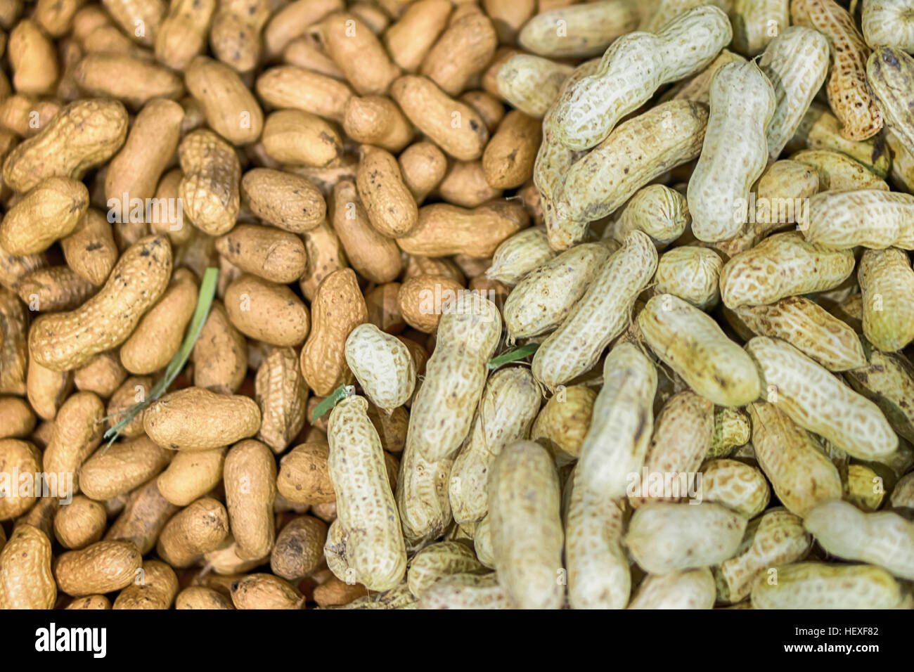 Peanuts in shell texture background. Raw peanuts on display at a farmer ...