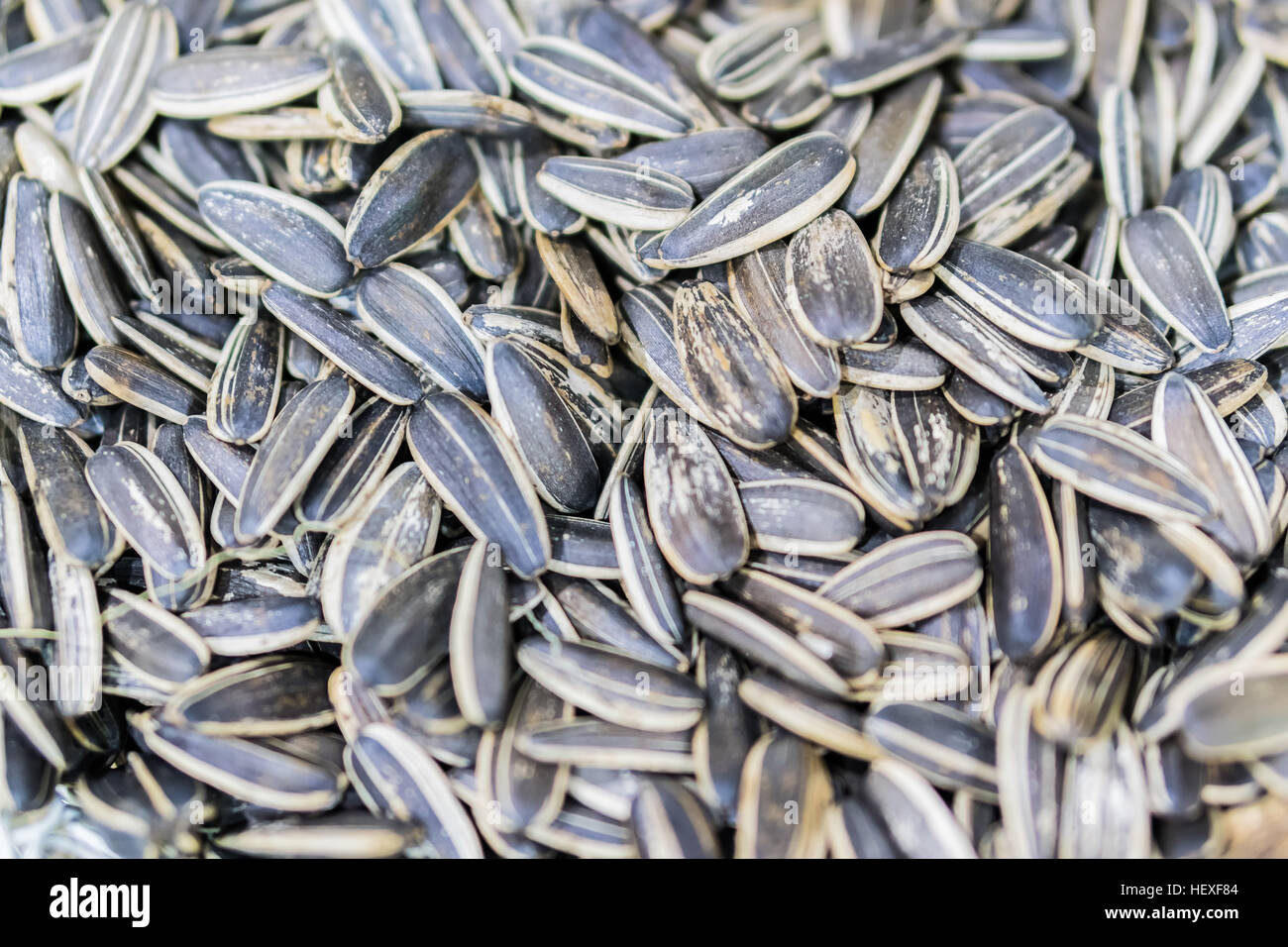 sun flowers seeds background Stock Photo - Alamy