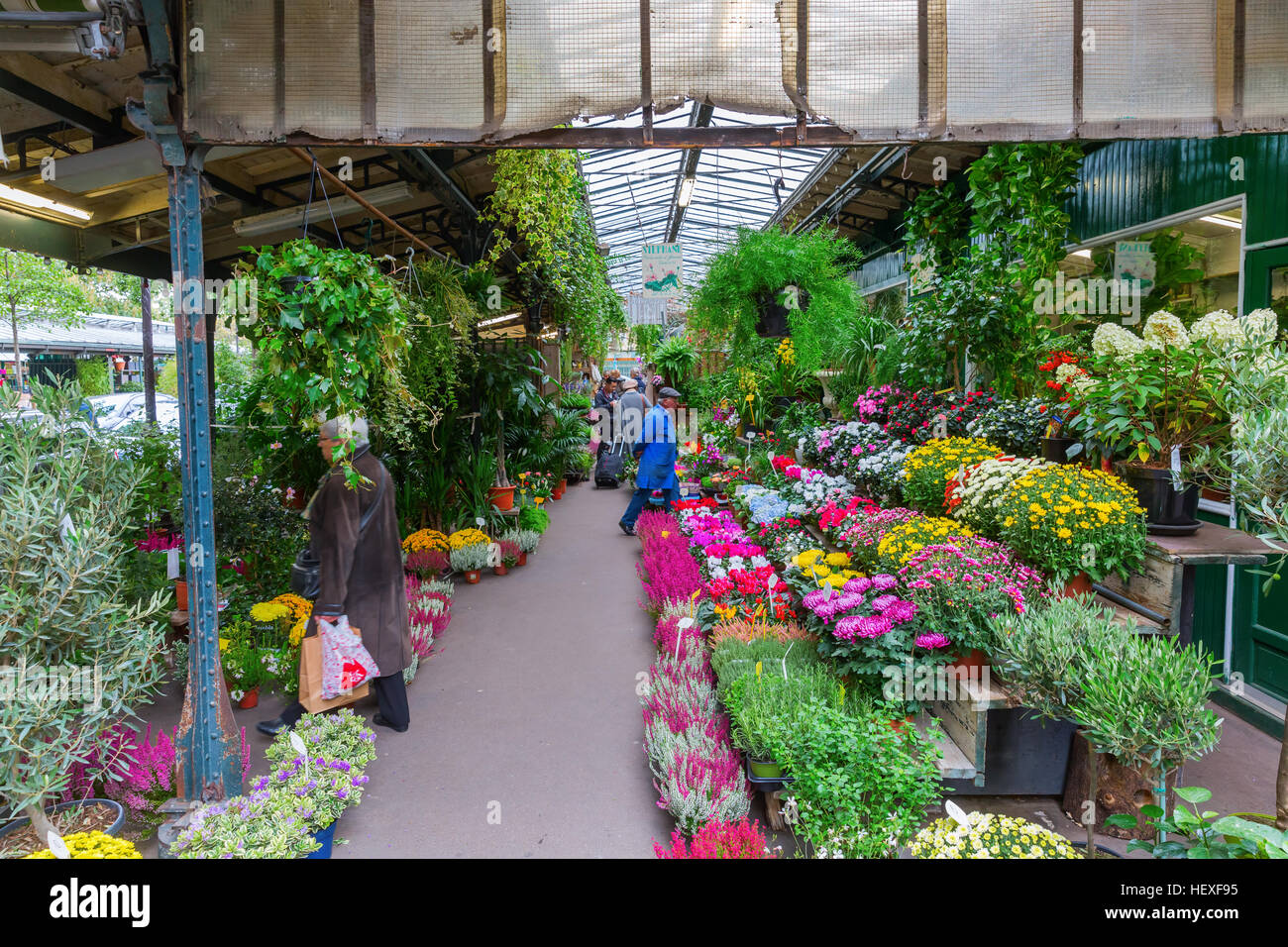Paris flower market ile de la cité hi-res stock photography and images ...