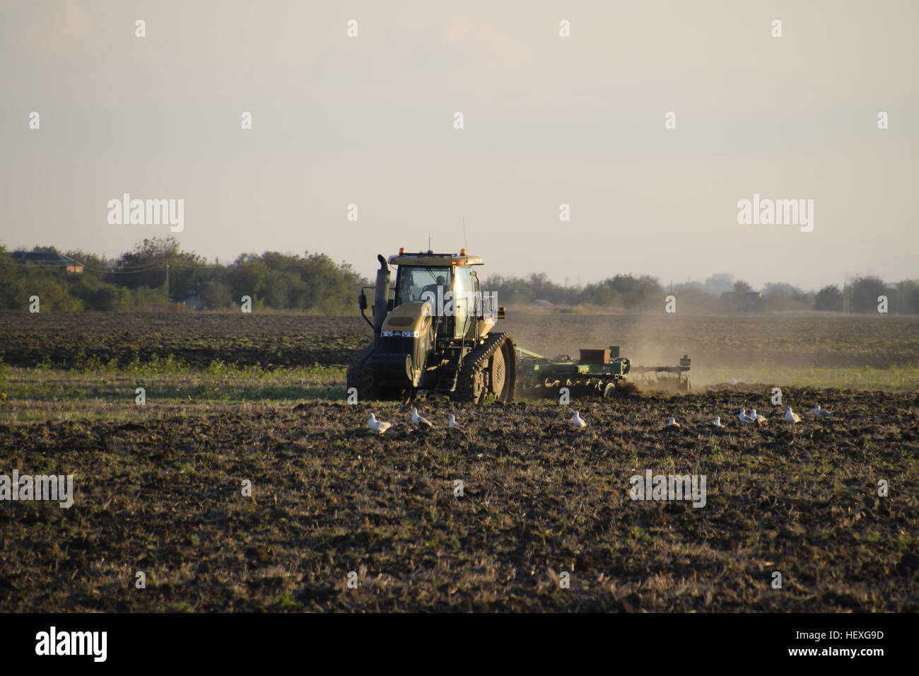 Tractor plowing plow the field. Tilling the soil in the fall after ...