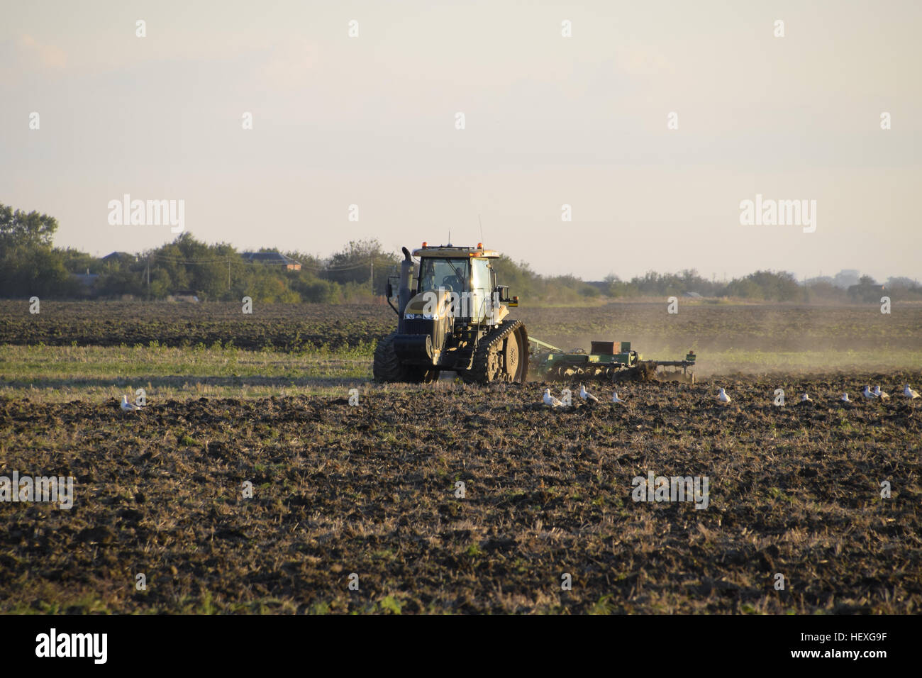 Tractor plowing plow the field. Tilling the soil in the fall after ...