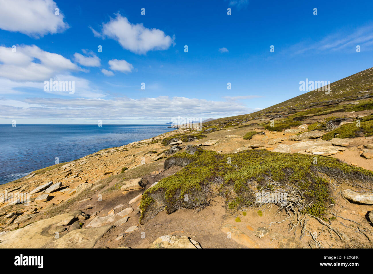 Falkland's Islands,Malvinas,Saunder's Island,South Atlantic Stock Photo ...