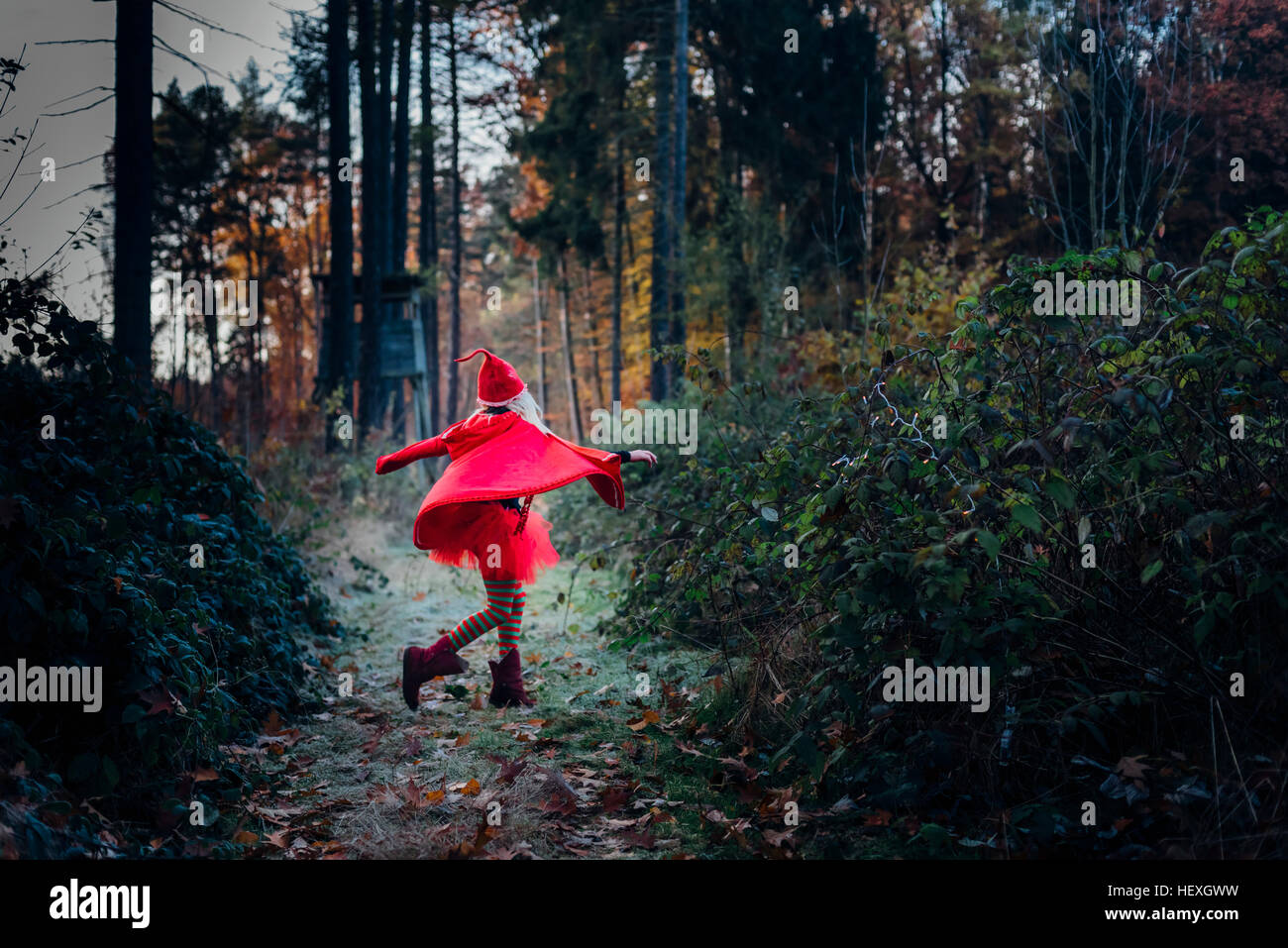 Imp image hi-res stock photography and images - Alamy