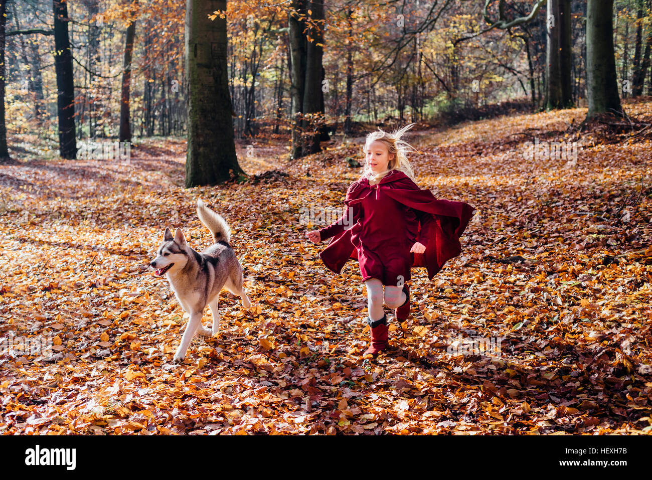 Red Riding Hood, Girl running in forest with husky Stock Photo - Alamy