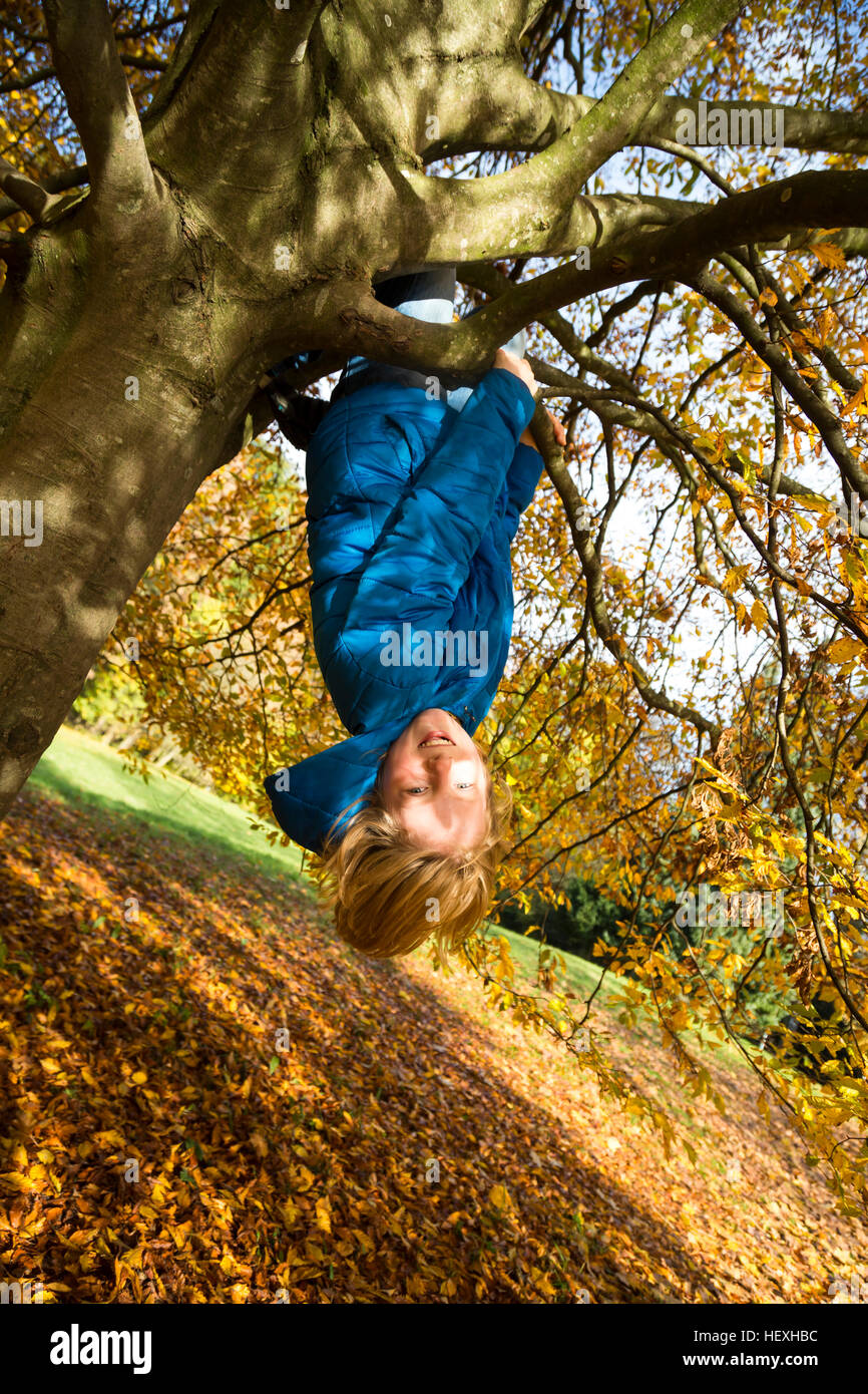Boy climbing on tree in autumn Stock Photo - Alamy
