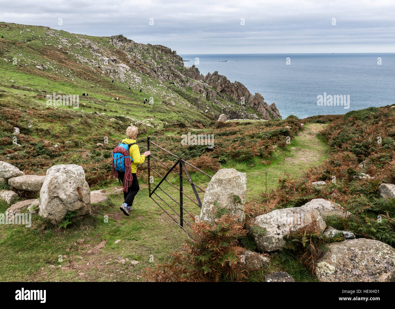 UK, Cornwall, woman at Commando Ridge climbing route Stock Photo - Alamy