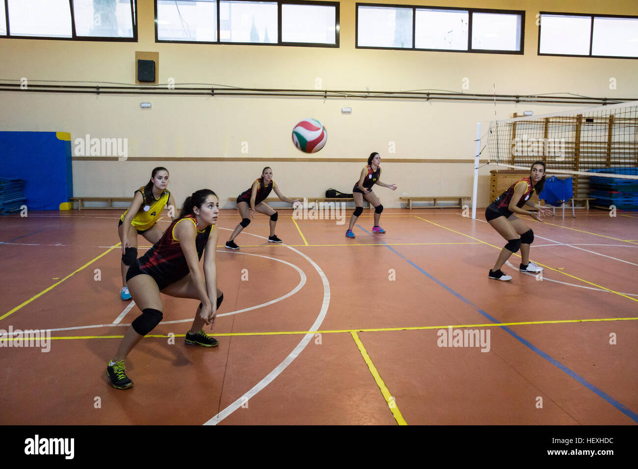 Volleyball player digging the ball during a volleyball match Stock ...