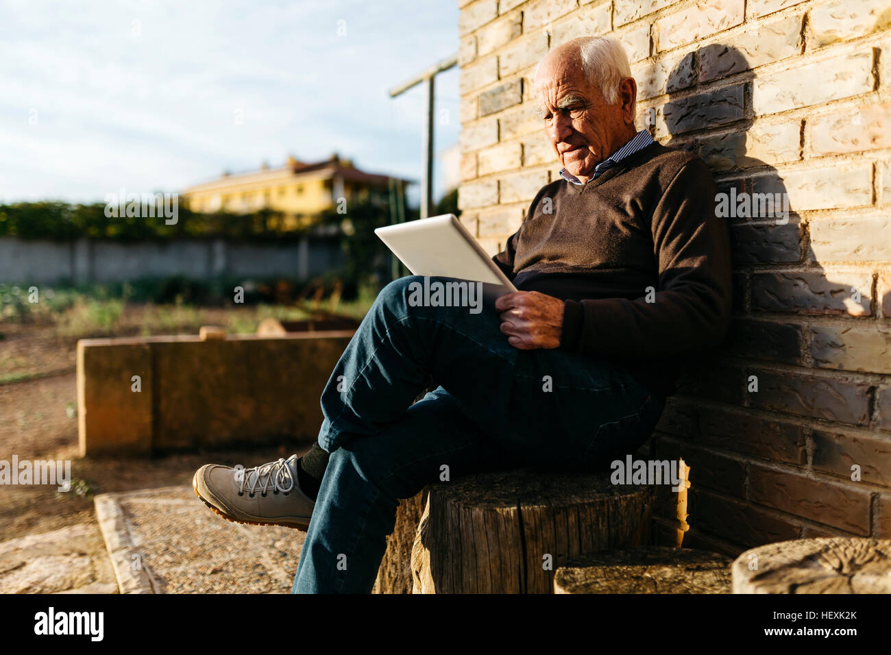 Man sitting on tree stump hi-res stock photography and images - Alamy