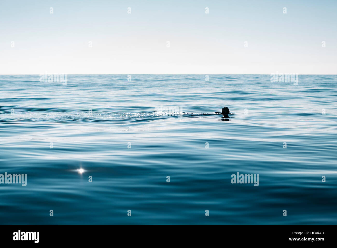 Man practicing free diving in the sea Stock Photo - Alamy