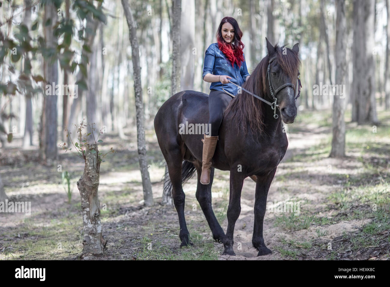 Woman on horse in hi-res stock photography and images - Alamy