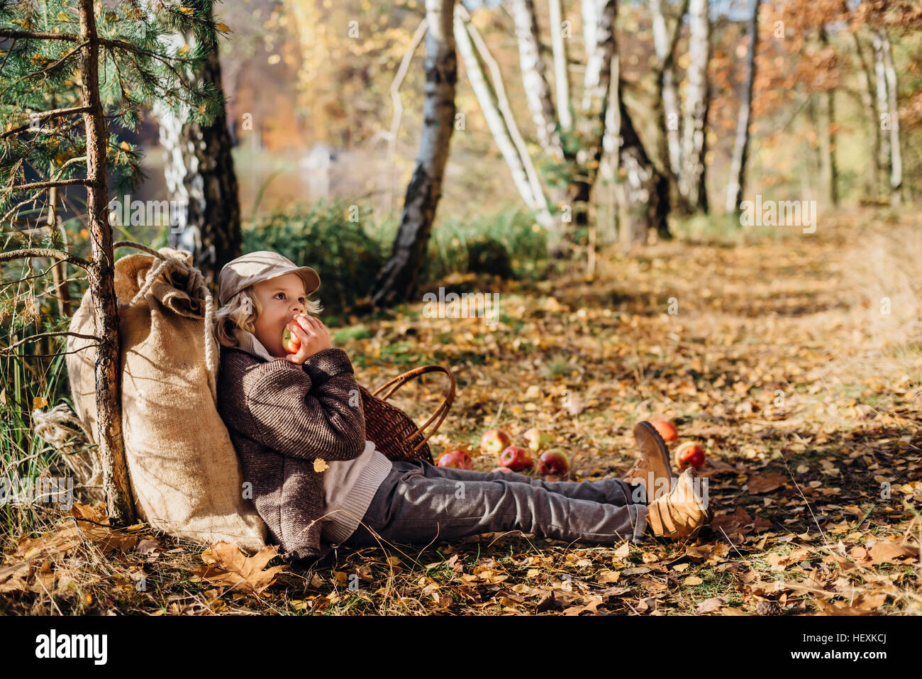 Hansel and Gretel, Boy leaning against tree in forest, eating apple ...