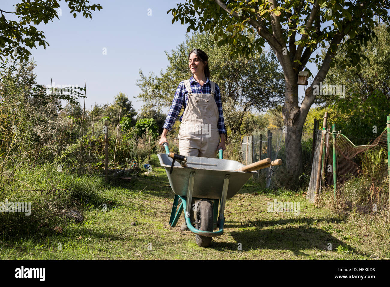 Woman working on farm pushing wheel barrow Stock Photo - Alamy