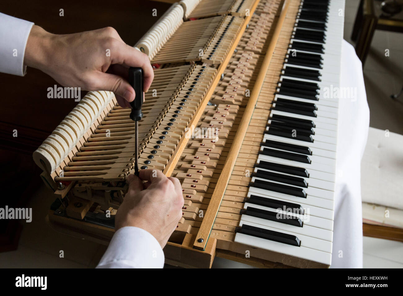 Piano tuner tuning grand piano Stock Photo - Alamy