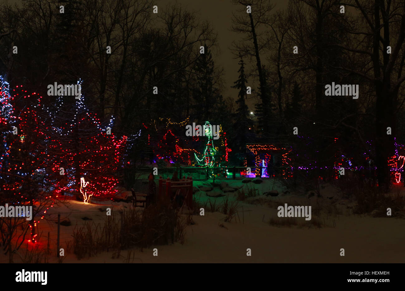 Calgary zoo lights hi-res stock photography and images - Alamy