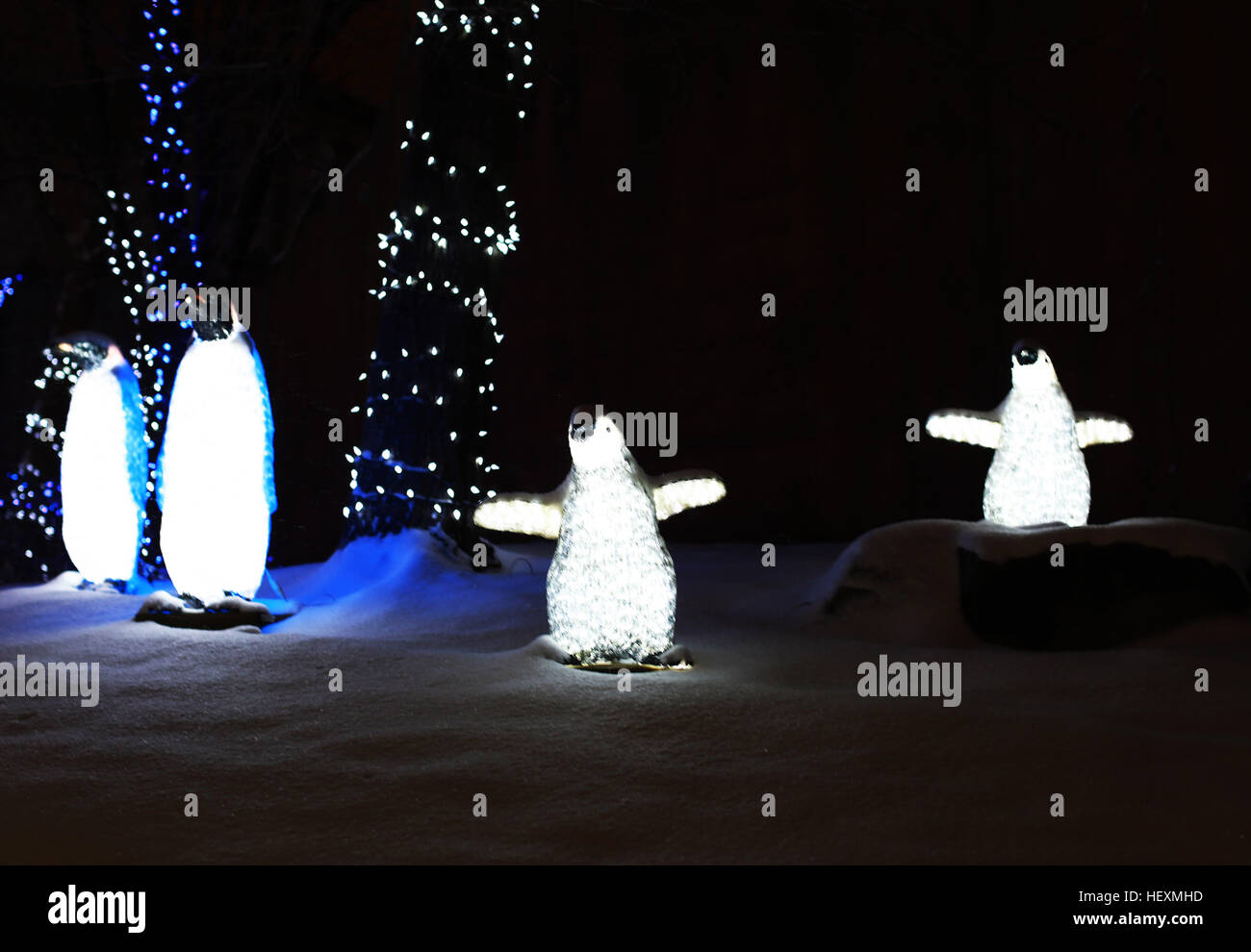 Calgary zoo lights hi-res stock photography and images - Alamy