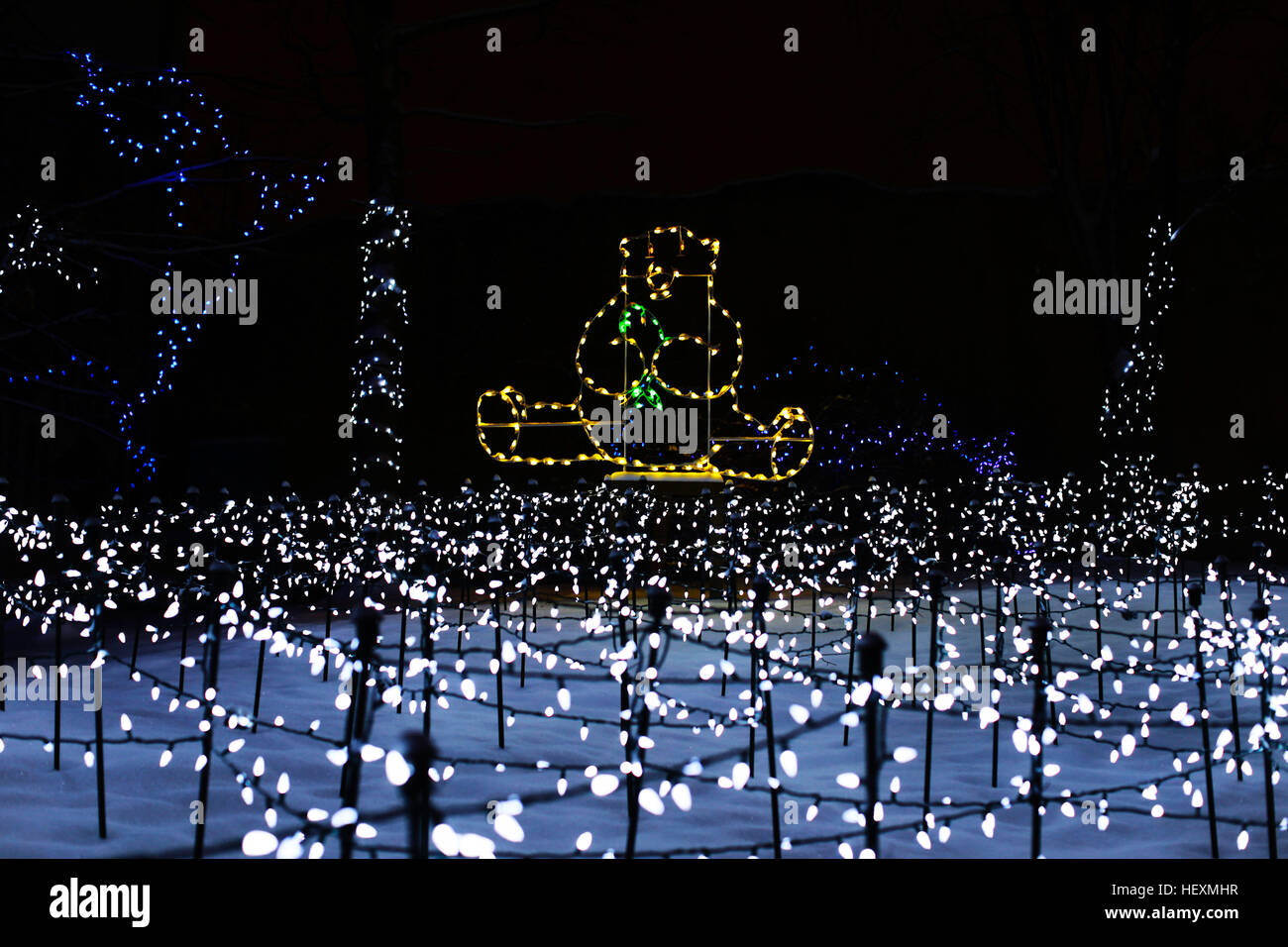 Calgary zoo lights hi-res stock photography and images - Alamy
