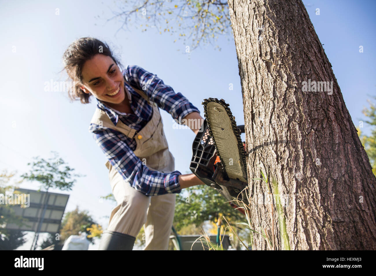 Chain on tree hi-res stock photography and images - Alamy