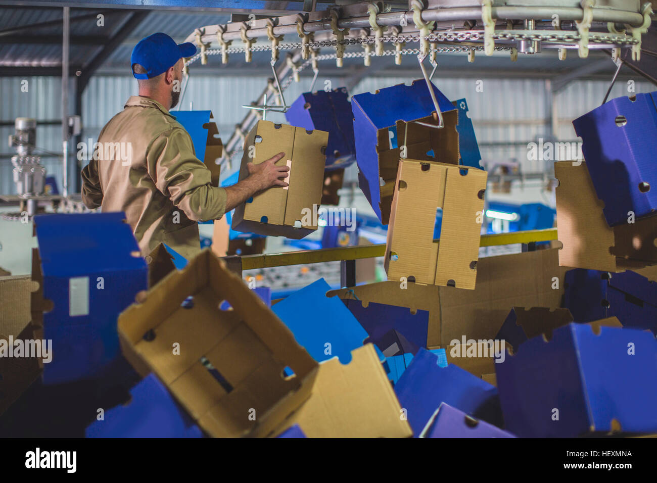 Packing of oranges hi-res stock photography and images - Alamy
