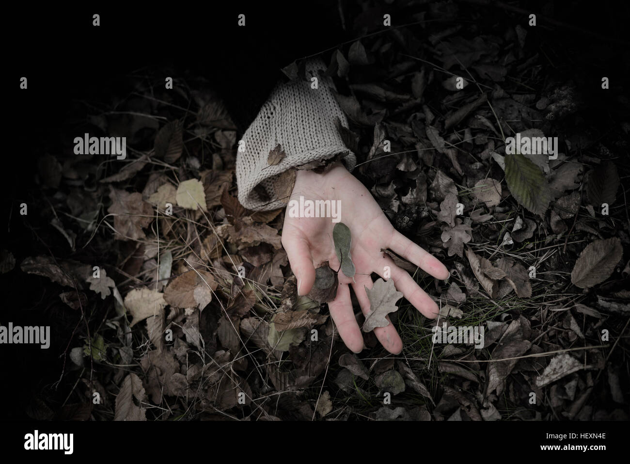 Woman's hand on forest floor Stock Photo - Alamy