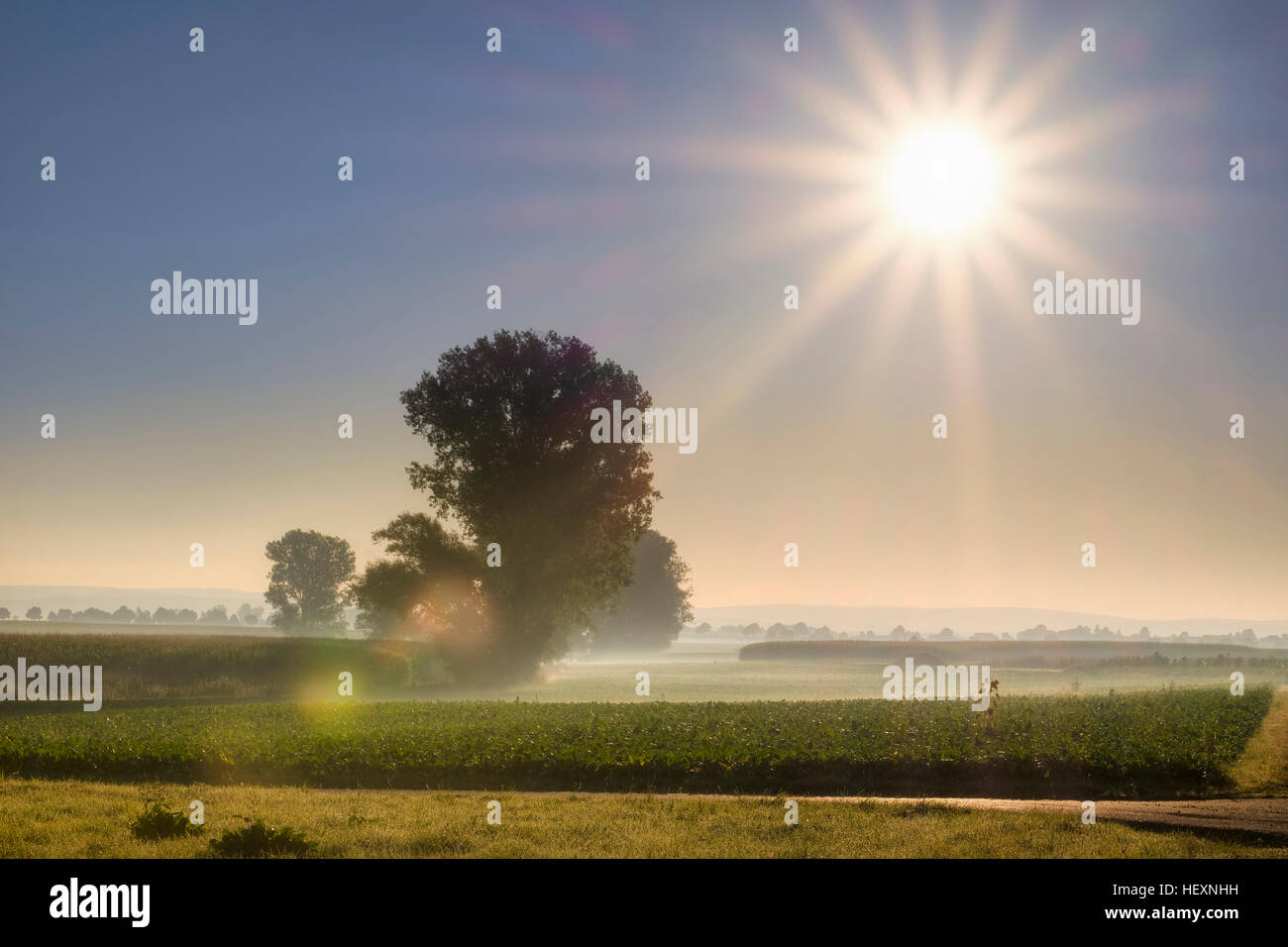 Germany, Noerdlinger Ries, Wallerstein, landscape with morning mist at ...
